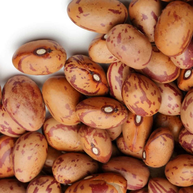 Inka Beans Seeds - Price: €1.45
