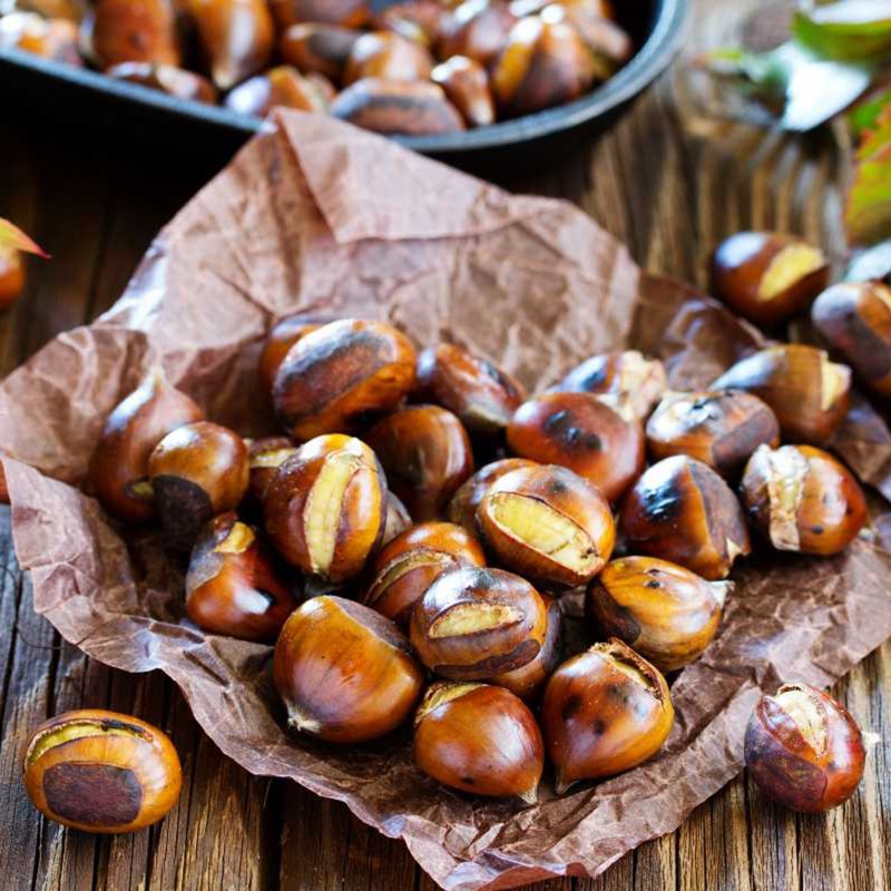 Preis: €2.95 - Chinesische Kastanie Samen (Castanea mollissima)