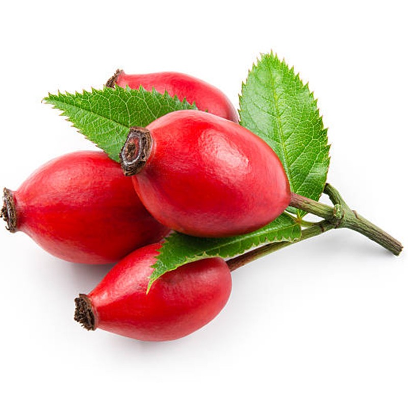 Rose Hip Seeds - Rose Haw - Rose Hep - Price €2.15
