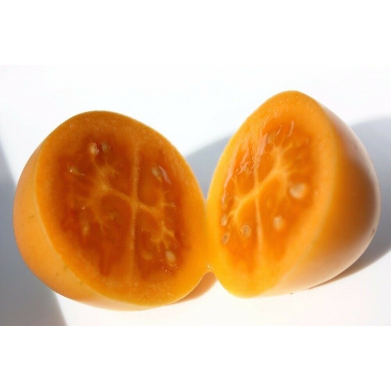 Sárga Tamarillo magok (Arany Tamarillo) | 2,15 € 🌳🌼🌸🌿🌱