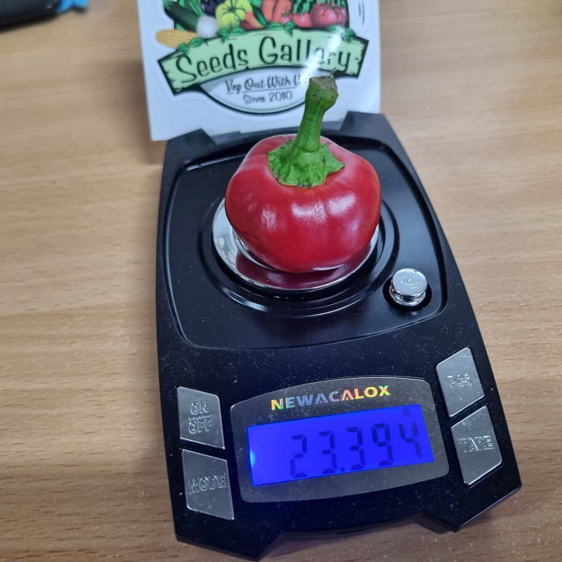 Graines de Piment Grande Cerise Rouge