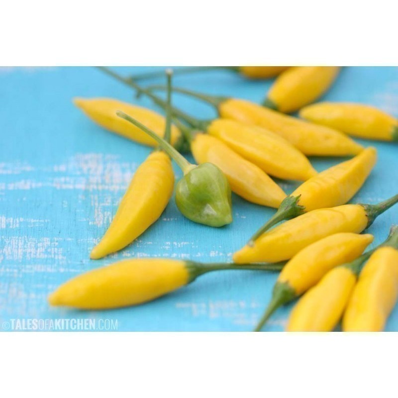 Price: €2.00 - Chili Tabasco Yellow Seeds