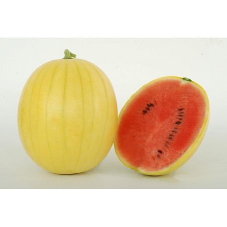 Gul Hud Vattenmelon Frön | 2,50 € 🌳🌼🌸🌿🌱