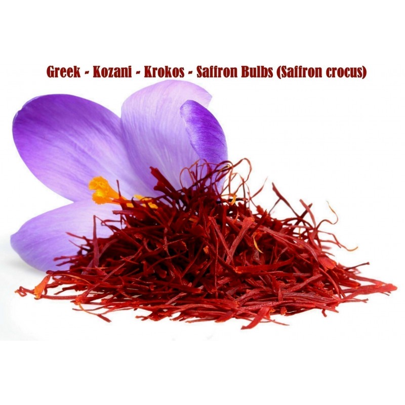 Prix : €3.75 - Bulbeuses de Safran (Crocus sativus)