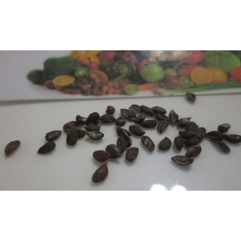 Ananas Seeds pineapple - Price €3.50