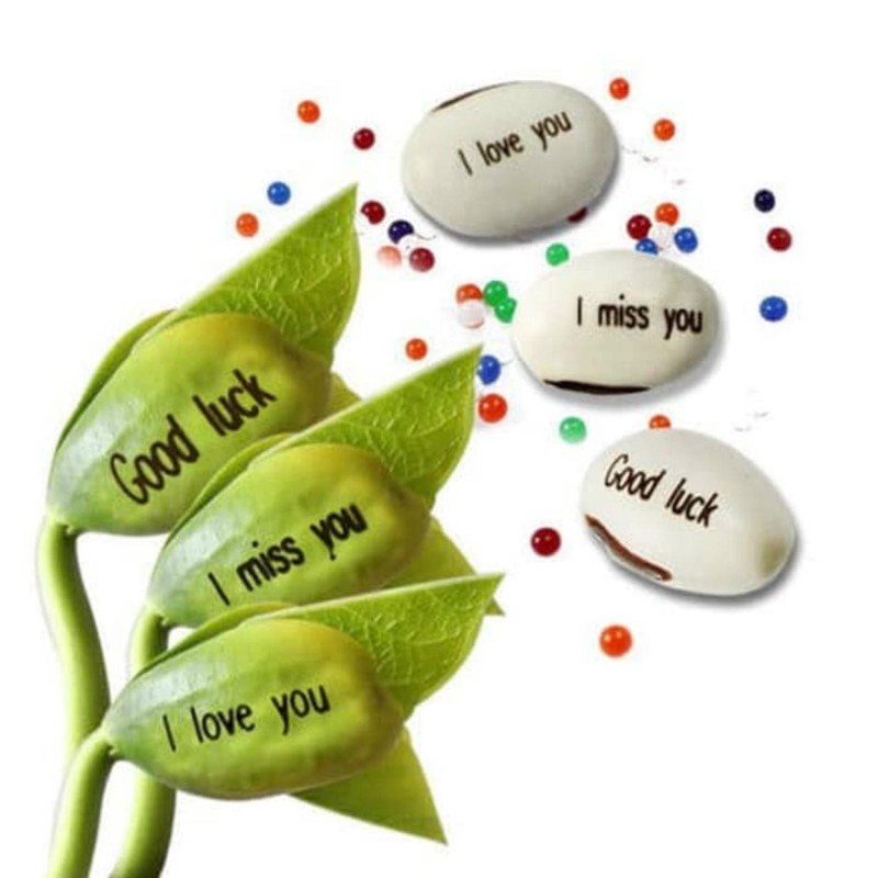 Price: €1.55 - Magic Growing Message Beans Seeds