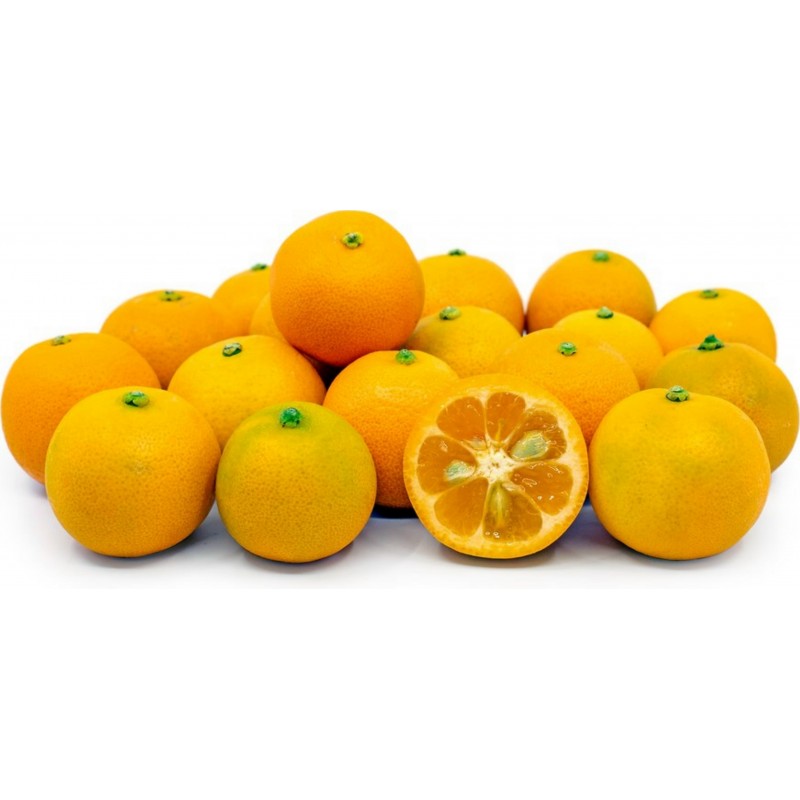 Price: €4.95 - Calamansi, Calamondin, Philippine lime Seeds