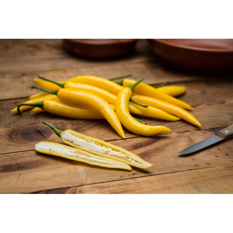 Price: €2.85 - Serbian hot chilli 150+ Seeds Yellow Feferona