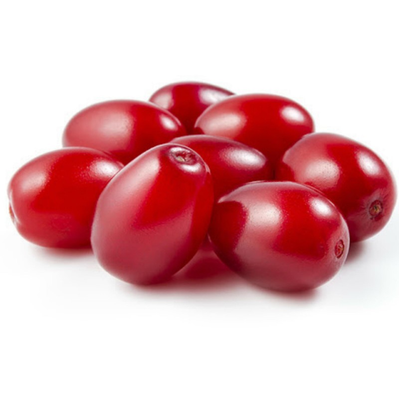 Cornelian Cherry, European Cornel Seeds (Cornus mas) | 2,05 € 🌳🌼🌸🌿🌱
