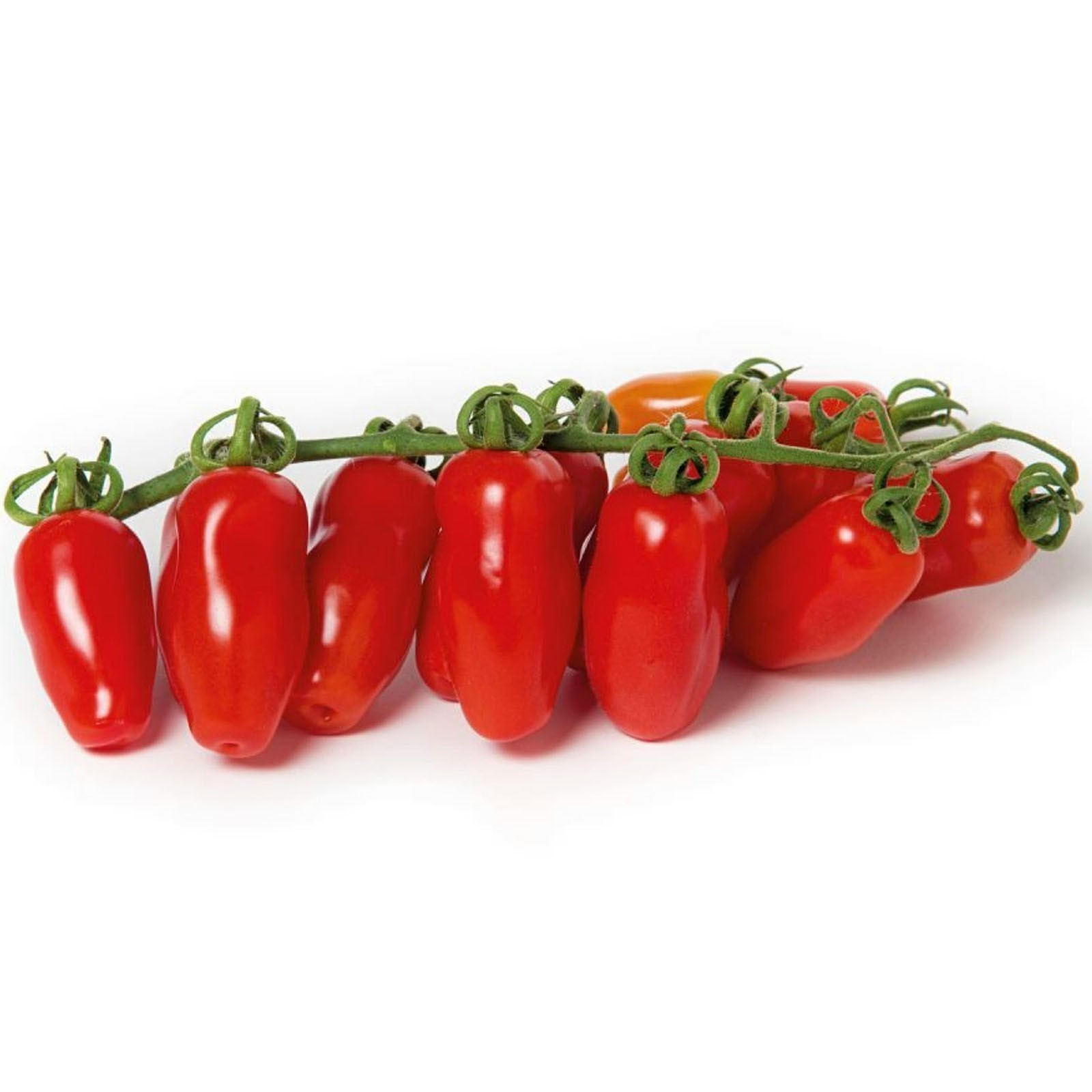 Ár: €1.65 – Mini San Marzano Yellow and Red Tomato Seeds